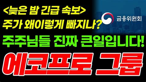 에코프로그룹 주가 계속 빠지는 이유 에코프로비엠 에코프로비엠주가 에코프로비엠주가전망 2차전지 2차전지관련주 양극재 박순혁이사 Youtube