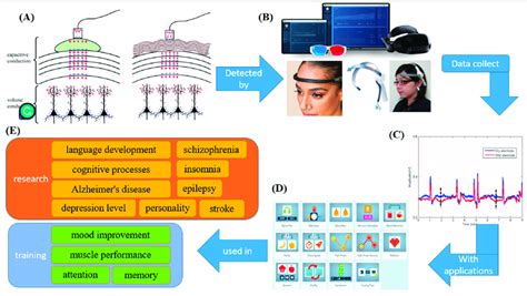 Wearable Eeg Detection Device And Application A Neurons Generate