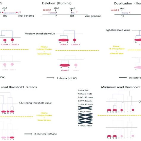 Illustration Of Two Important Steps Of The Hierarchical Clustering Of