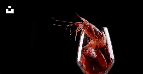 맑은 와인 잔에 담긴 레드 와인 사진 Unsplash의 무료 터키 이미지