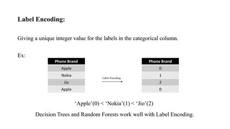 How To Handle Categorical Data Pptx Technology And Computing