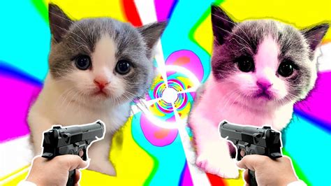 Мяу Мяу мяв Котики танцуют и поют 😻 Youtube