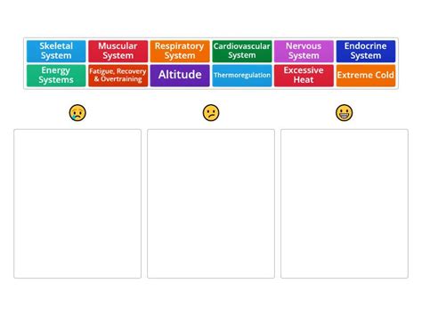 Rag Rating Categorize