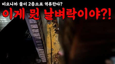 왜 빗물이 우리 집으로 들어오는 거냐고 하수구 대마왕😈 Youtube