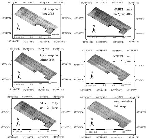 Monitoring Of Wheat Growth Status And Mapping Of Wheat Yields Within