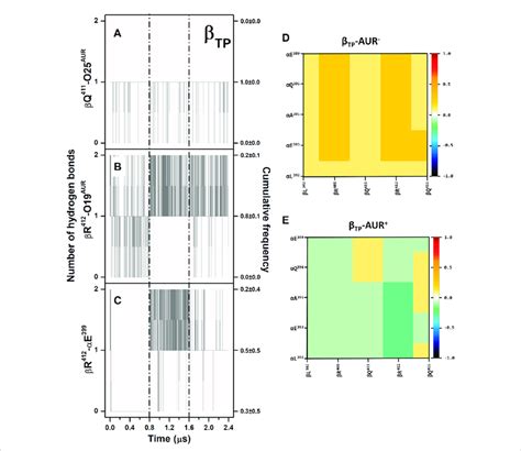 Hydrogen Bonding In β Tp Aur And Correlated Motions Of α Tp And β Tp