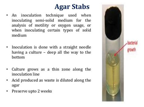 Preservation Of Bacteria