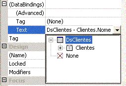 Meu Primeiro Acesso A Dados Com O VB NET
