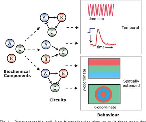 Figure 1 From Programmable Chemical Reaction Networks Emulating