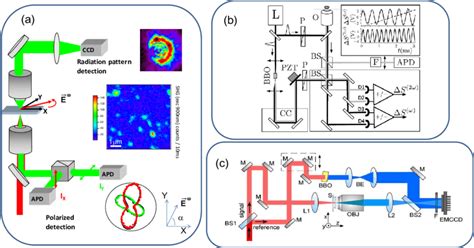 A Imaging And Polarization Resolved Nonlinear Microscope A Download Scientific Diagram