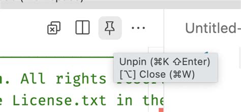 Lock Icon Inconsistency Between Output And Editor Groups · Issue