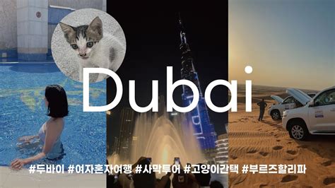 여행vlog 혼자서 두바이여행 3박4일 혼행 퇴사여행 힐링여행 사막투어 부르즈할리파 분수쇼 고양이 Youtube