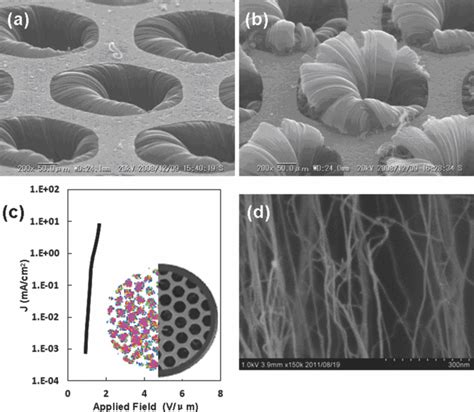 a sem image of the laterally grown cnt arrays in honeycomb holes b