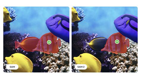 Sam2 이미지와 비디오 모두에 적용 가능한 Segment Anything Model Feat Meta 읽을거리and정보공유 파이토치 한국 사용자 모임