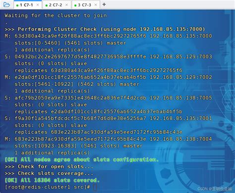 Redis Cluster集群的部署（详细步骤）redis Cluster部署 Csdn博客