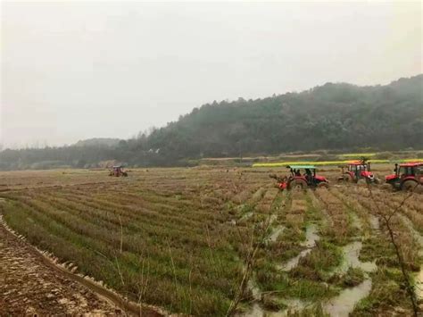 种粮大户春耕忙观后感春耕劳动的感悟集结号观后感大山谷图库