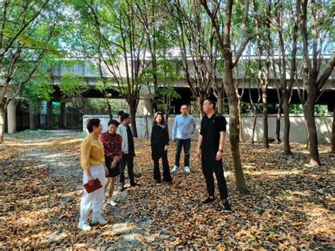 区林业站开展2023年度林业工作综合考核