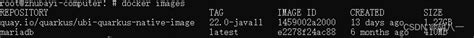 Docker安装mariadb数据库胡八一 的博客 Csdn博客docker Mariadb