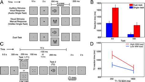 Figure 1 From A Unified Attentional Bottleneck In The Human Brain Semantic Scholar