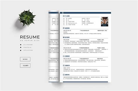 Java开发工程师简历（精选6篇） 幻主简历