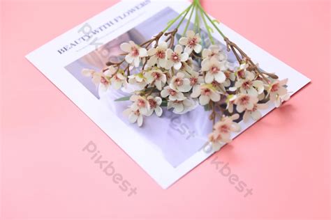 Cute Map Flowers Magazine Background Psd Free Download Pikbest
