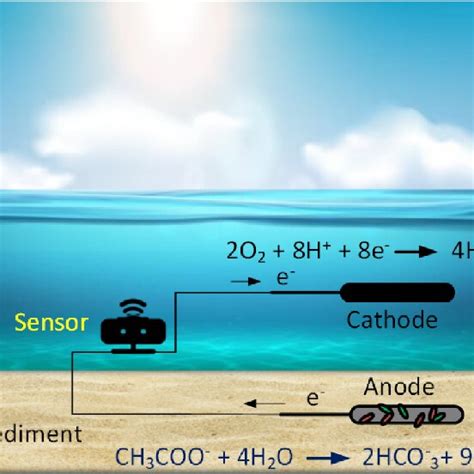 Sediment Microbial Fuel Cell Adapted From Kumar Et Al 38 Algar Et