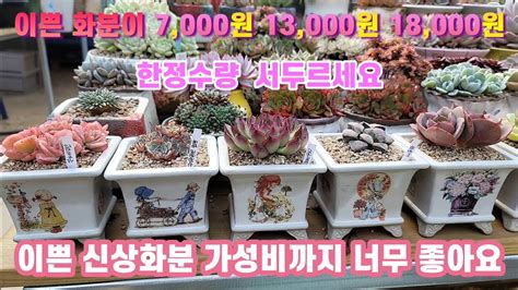 이쁜 신상 화분이 이가격에 7000원 13000원 18000원 한정수량 입니다 서두르세요 콩분부터 롱분까지 가성비