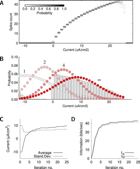 Figure 6 5 From Sensory Coding In Natural Environments Semantic Scholar