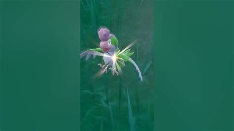 Shiny Green Squawkabilly In Pokemon Scarlet Youtube