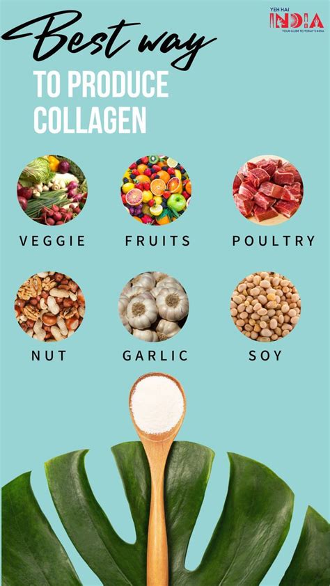 Collagen Diet 9 Best Foods To Boost Your Body S Collagen Levels Artofit