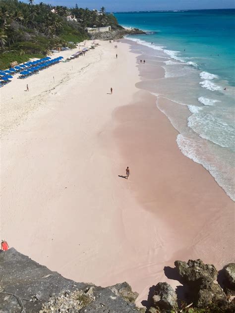 Crane Beach Resort Redweek