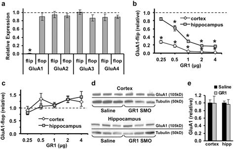 Real Time Pcr Analysis Of Glua Isoform Expression After Icv Delivery Of