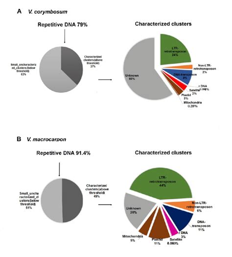 RepeatExplorer Based Estimation Of Different Types Of Repeats In V Download Scientific Diagram