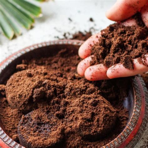 What Organic Fertilizer Is High In Nitrogen Discover The Best High