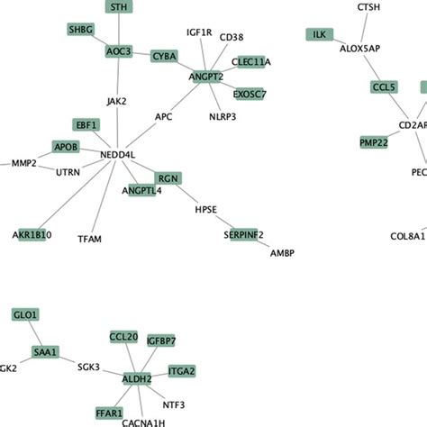 Differential Network For Adipose Visceral Tissue Differentially Download Scientific Diagram