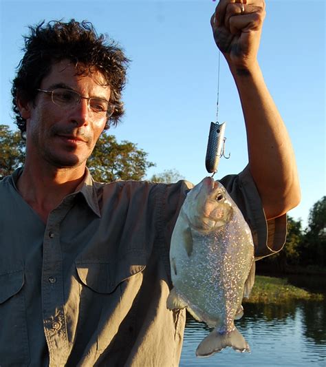 Atacan A Las Palometas ~ Pesca ~