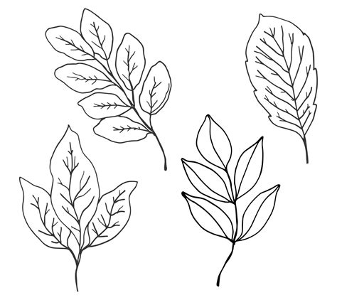 Leaf Pattern Template 15 Free Pdf Printables Printablee Leaf Template Printable Leaves