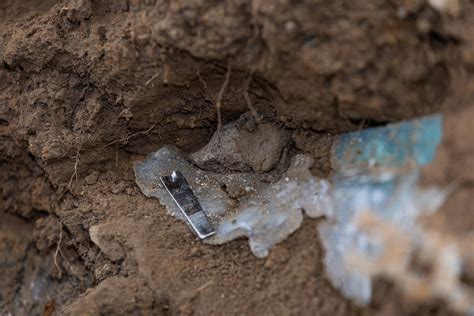 Fossils Layers Of Intimacies Martina Morger