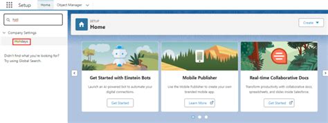 How To Setup Holidays In Salesforce Learn Salesforce With Anuhya Digital
