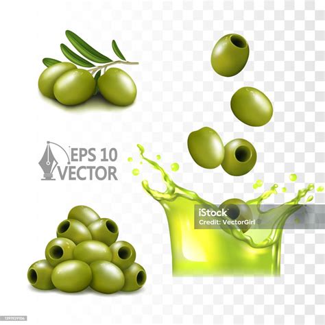 올리브 가지 천연 올리브 오일 녹색 올리브와 오일 스플래쉬 음식 화장품 성분 3d 현실적인 벡터 일러스트 레이 션 벡터에 대한 스톡 벡터 아트 및 기타 이미지 Istock