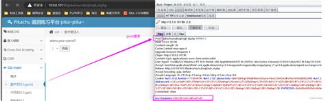 17 owasp top10 sql注入（二） owasp zap sql注入 csdn博客