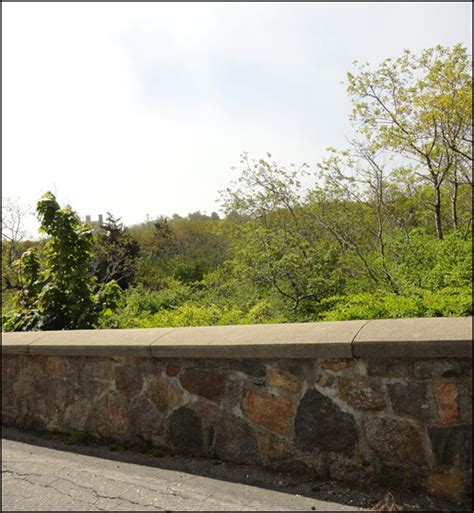 Portfolio Bucklin Appraisal