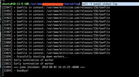 Question How To Debug What Cause 20795 Terminating Timed Out
