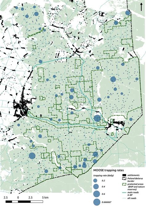Linking Spatial Patterns Of Terrestrial Herbivore Community Structure To Trophic Interactions