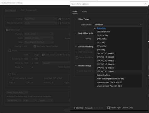Solved Install Quick Time But Video Codecs Have Not In Re Adobe Product Community 9834024