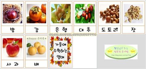가을에 수확하는 열매들을 소개하는 게시자료 가을열매 사진과 이름입니다 가을 벽면 게시자료환경구성 가을 카드 가을 활동 가을
