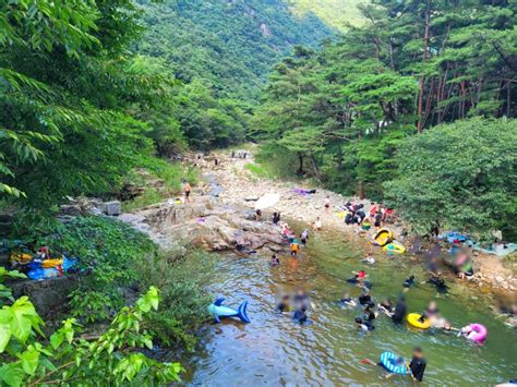 괴산 쌍곡계곡 평상 대여 소금강휴게소 등 계곡 물놀이 장소 네이버 블로그