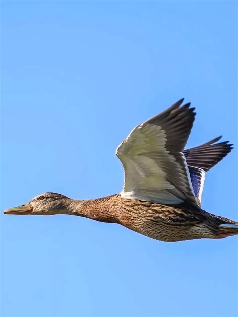 Cloud Shift Secrets Boost Your It Efficiency Now