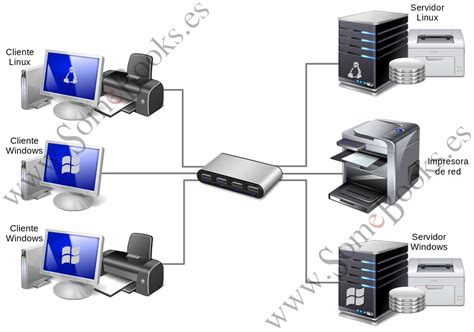 Network Operating System Online Puzzle