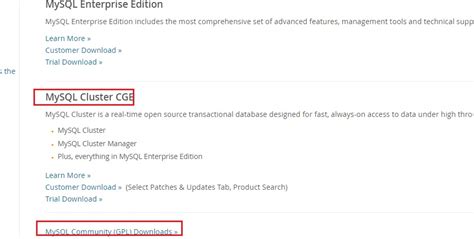 PHP 8 Install MySQL On Windows 10